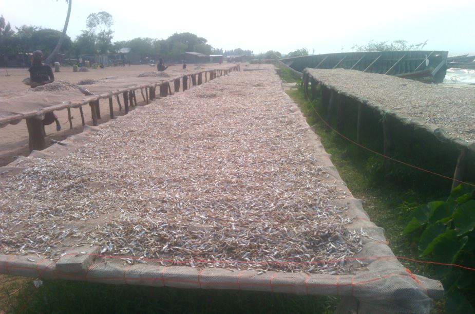 Fishing community encouraged to follow best practices | Sokoine ...