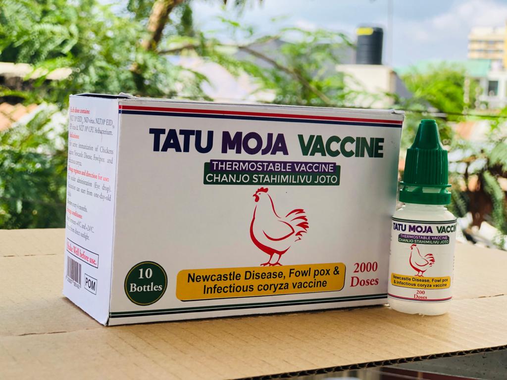 SUA scientists discover a new chicken vaccine; It controls three ...