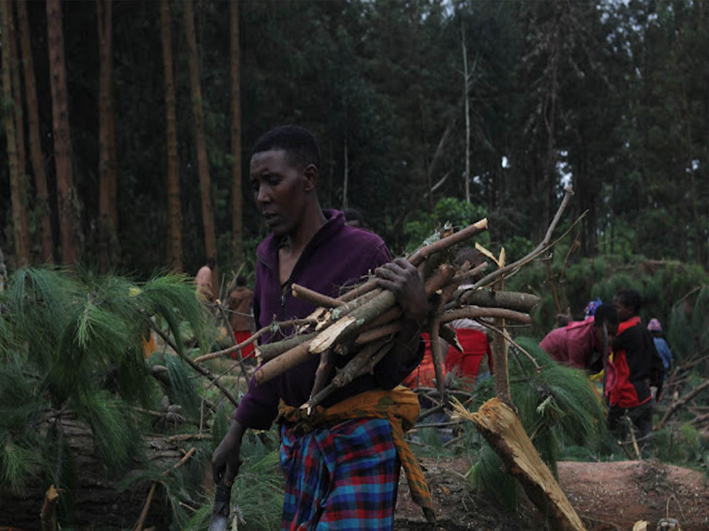 Wananchi wa Arusha Wapongeza Menejimenti ya SUA kwa Kuwawezesha ...