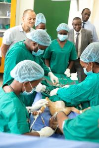 Nordic Ambassadors Visit SUA to Strengthen Collaboration | Sokoine ...