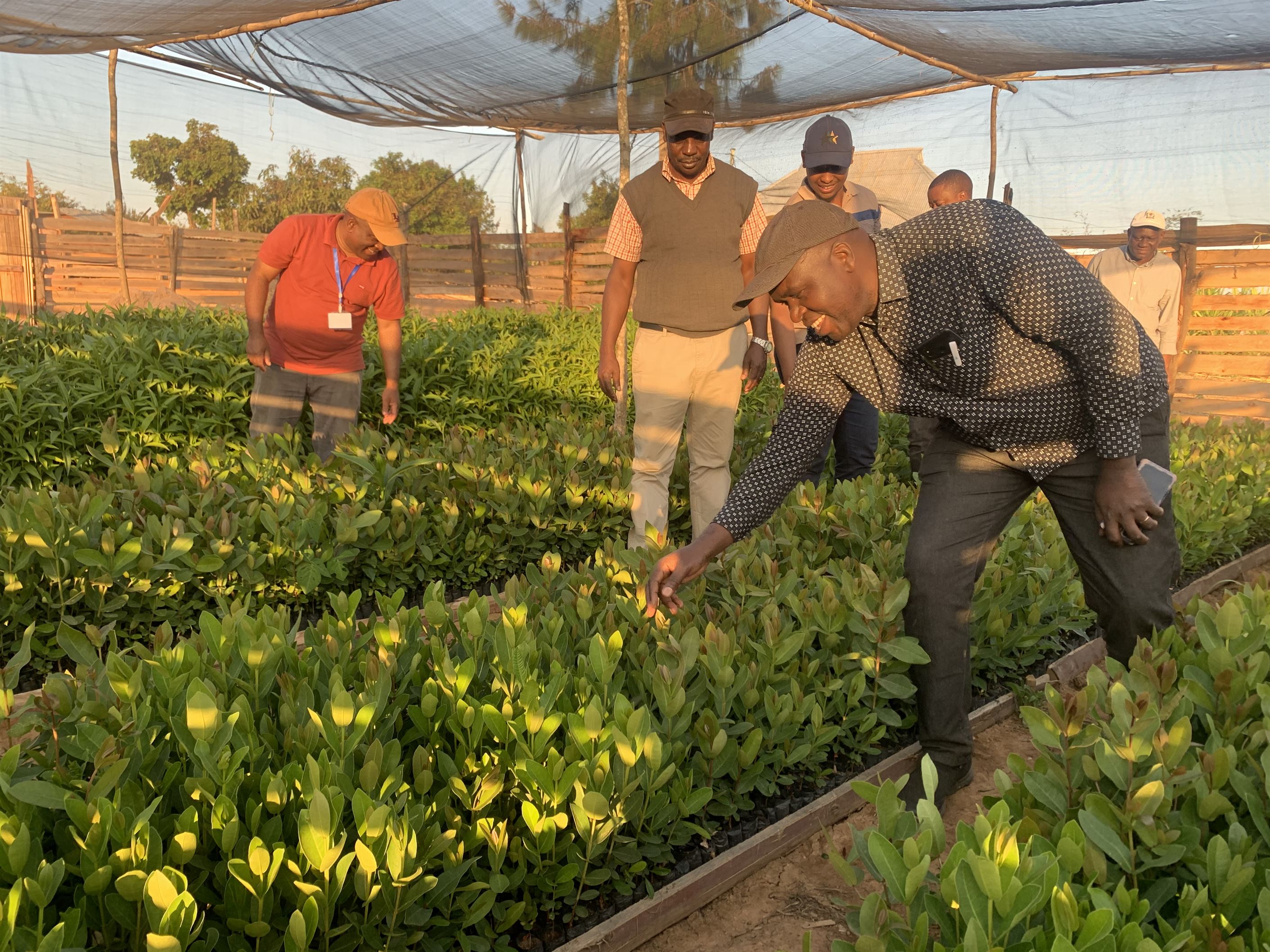 Contribution of SUA in bringing back the Vegetation on water sources ...