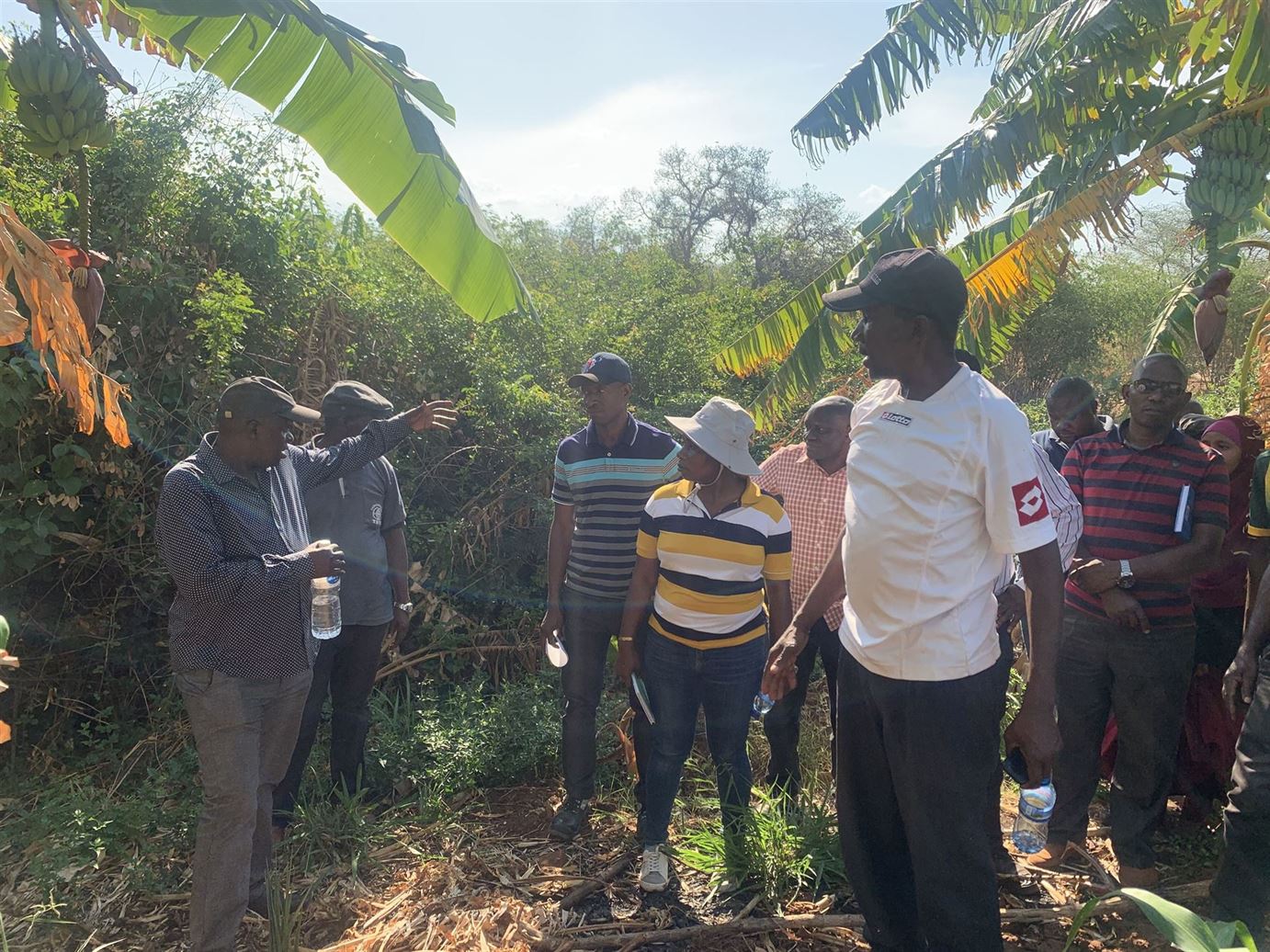 SUA and NEMC works together to conserve Mbarali River water | Sokoine ...