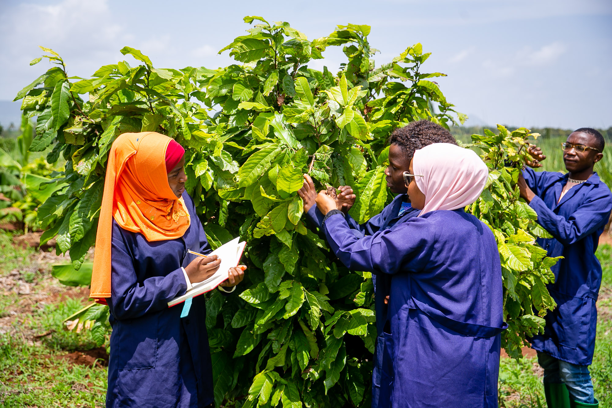 President Samia Suluhu Hassan Guarantees Job Opportunities for SUA ...