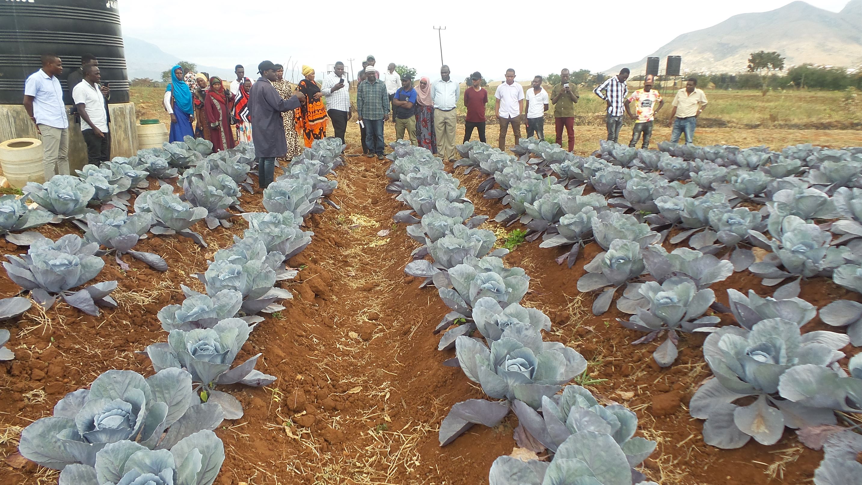 Umoja wa Wakulima Msoga watembelea SUA kujifunza kilimo cha kisasa ...